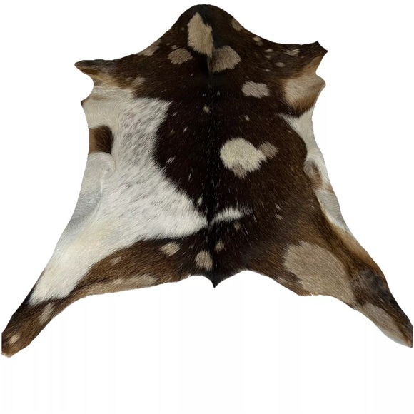 Accents | New Unused Rug Real Tanned Goat Hide Rug Taxidermy Western ...